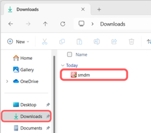 Install and Activate System Mechanic | iolo